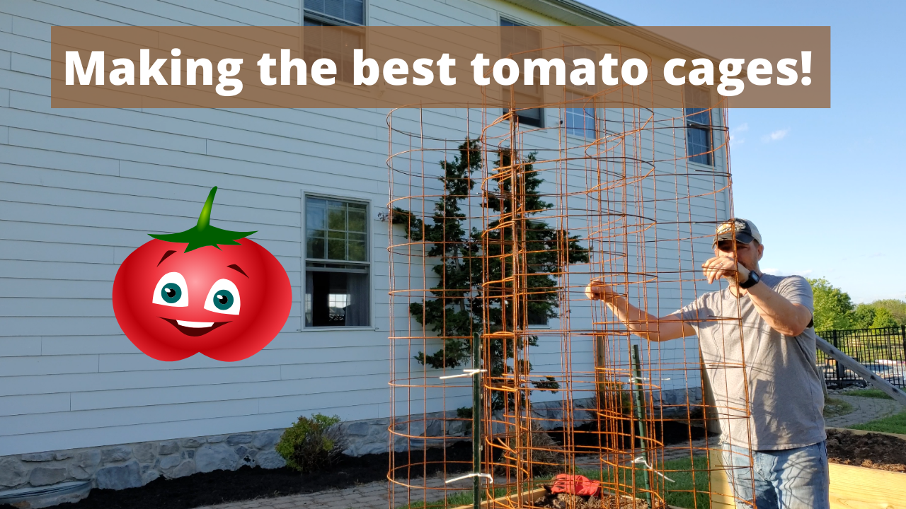 Making the best tomato cages - Rob's Backyard BBQ